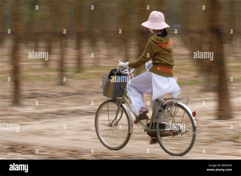 Riding Stockings Hi Res Stock Photography And Images Alamy