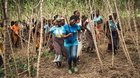 Cocoa Farming Is A Trade For All Seasons Fairtrade