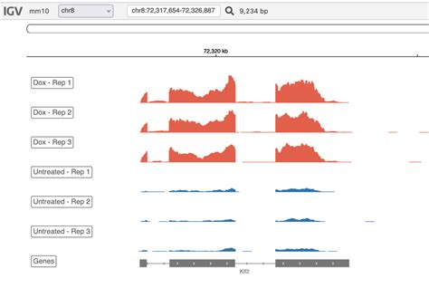 NGS Data Visualization Tools With Basepair Basepair Blog