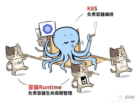 报错处理：kubernetes中pod启动报错的排查与解决 Csdn博客