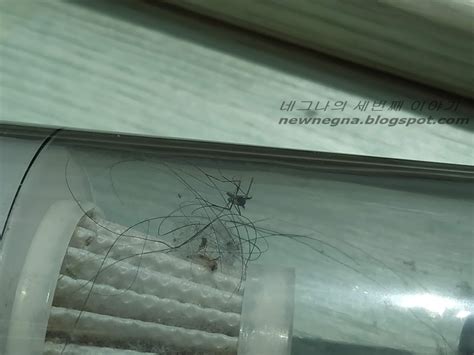 모기가 빠져나갈 수 없는 함정 맛이 어떠냐