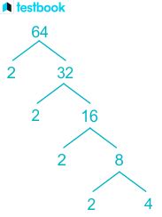 Factors Of 64 By Prime Factorization Factor Tree Method Step By Step Guide