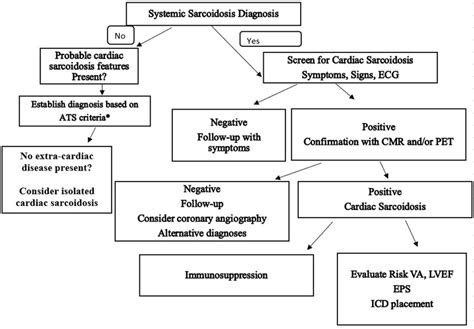 Suggested Management Algorithm For Patients With Probable Cardiac Download Scientific Diagram