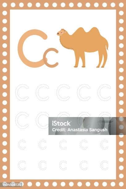 문자 C 소문자입니다 워크시트 어린이 교육 낙타 그림 벡터 조판 알파벳순 글꼴 유치원 훈련 0명에 대한 스톡 벡터 아트 및 기타 이미지 Istock