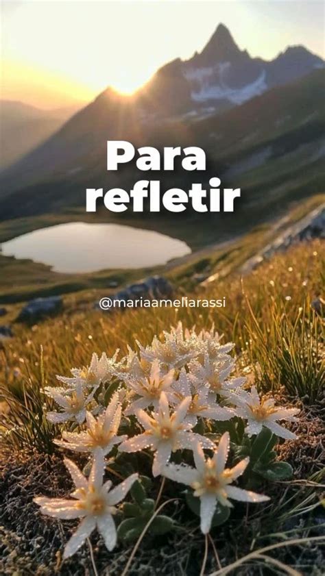 Maria Amelia Rassi Mariaameliarassi • Instagram Photos And Videos