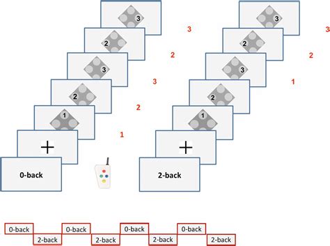 Dynamic Reconfiguration Of Frontal Brain Networks During Executive Cognition In Humans Pnas