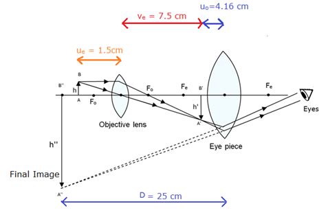 A Draw A Ray Diagram Of A Compound Microscope For The Final Image Formed At Least Distance Of