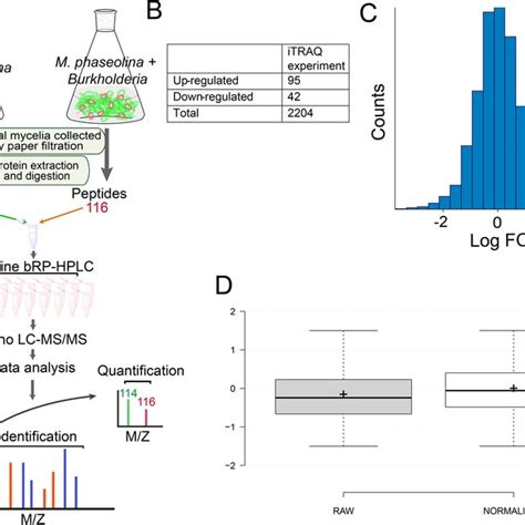 Overview Of Experimental Design A Workflow Of Quantitative Proteomic