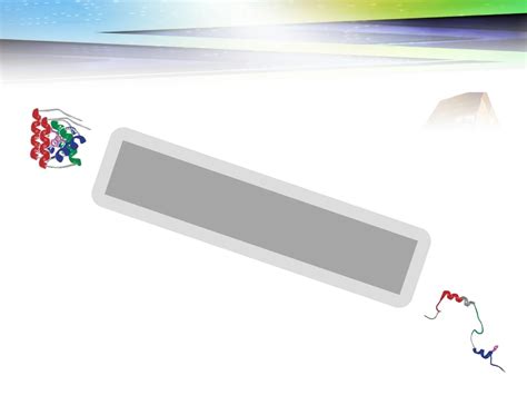 Hplc Methode Ppt