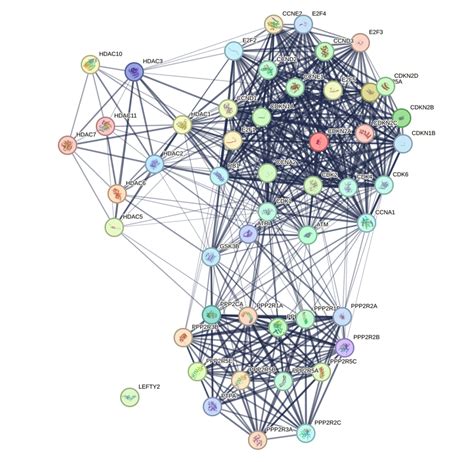 Pathcards Cyclins And Cell Cycle Regulation Pathway And Related Pathways