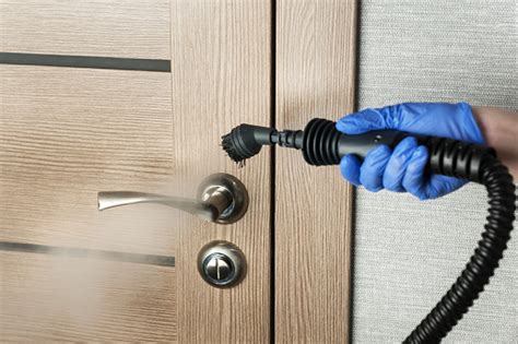 증기 발생기와 도어 핸들을 청소 블루 글러브에 손으로 증기 유전자 처리기와 브러시호스를 보유하고 이는 미생물 먼지 및 바이러스에서 소독을위한 증기를 생산 증기에 대한 스톡