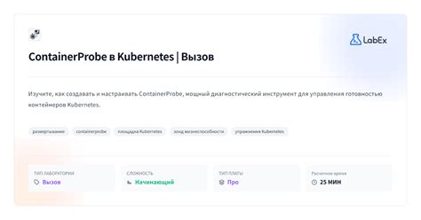 Containerprobe в Kubernetes Вызов Labex