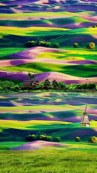 护眼模式 风景手机动态壁纸 风景手机壁纸下载 元气壁纸