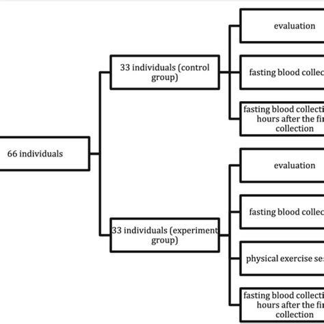 Flowchart Of Data Collection Download Scientific Diagram