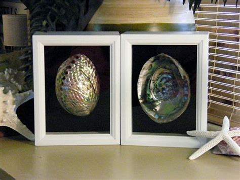 Abalone Seashell In Shadowbox Frame Etsy Frame Sea Shells Shadow Box