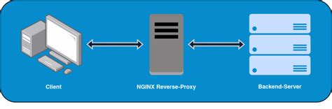Masterclass Reverse Proxy Mit Nginx Erschaffen