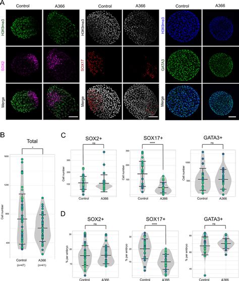 H3k9 Post Translational Modifications Regulate Epiblast Primitive Endoderm Specification In
