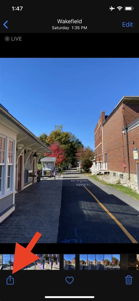 The Ultimate Guide To Customizing Your Iphone