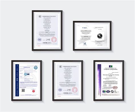 荣誉证书 Qs Motor