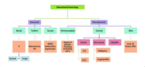 Flow Chart Depicting Various Types Of Subarachnoid Hemorrhage IE Download Scientific Diagram