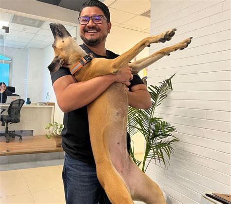 Samriddh D On Linkedin The Team Surely Used The Best Picture Possible ️