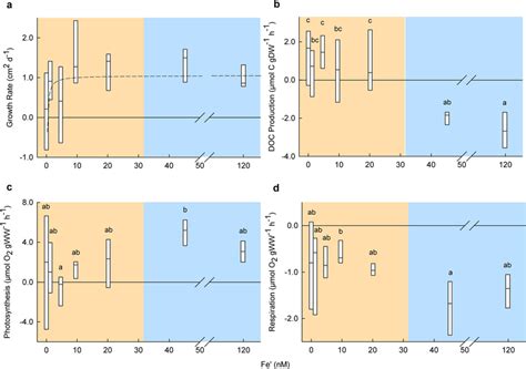 Fe′ Concentrations Drive Rates Of Growth Photosynthesis Respiration Download Scientific