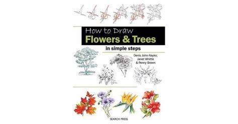 How To Draw Flowers Trees In Simple Steps By Denis John Naylor