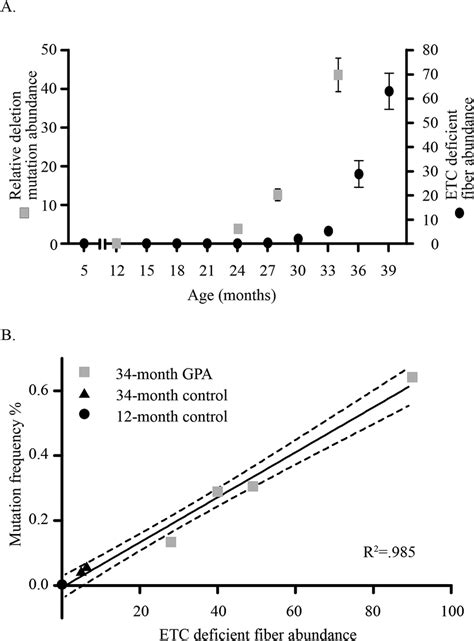 Integrating Molecular And Histologic Analyses Of Mtdna Deletion