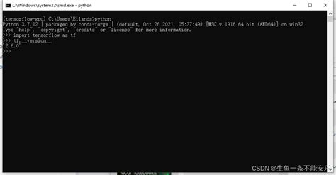 Tensorflow Gpu安装（安装记录）python 311 Tensorflow Gpu Csdn博客