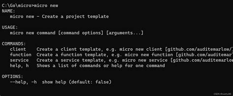 Go微服务——go Micro V4安装go Micro V4 Csdn博客