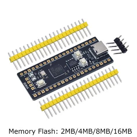 Jual Sys27 Raspberry Pi Pico Board Rp2040 Microcontroller Type C 4mb Shopee Indonesia