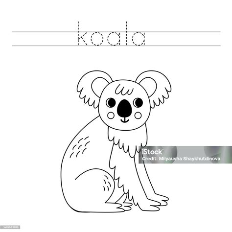 글자를 추적하고 만화 코알라를 색칠하십시오 아이들을 위한 필기 연습 0명에 대한 스톡 벡터 아트 및 기타 이미지 0명 곰 교육 Istock