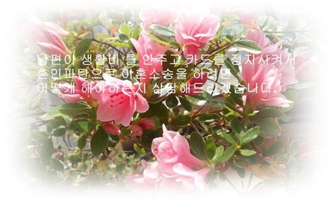 남편이 생활비도 안 주고 카드를 정지시킨 후 협박을 해서 이혼 친권 양육권 양육비 위자료 청구 소송을 하려면 어떻게 해야 할까요