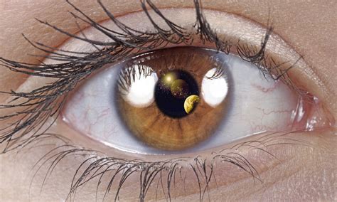 Look Into My Eyes How Your Sexual Preference Can Be Determined By Gazing At Your Pupils Daily