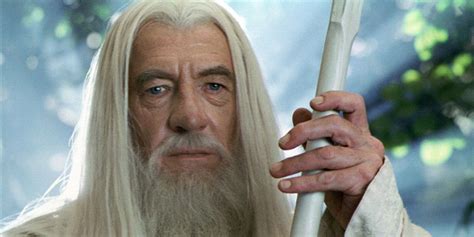 All 9 Fellowship Of The Ring Members In The Lord Of The Rings Ranked
