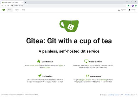Install Wizard Is Broken With Docker Installation · Issue 12060 · Go