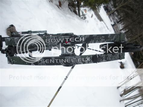 My 2010 Bowtech Sentinel In Optifade Forest HuntingNet Com Forums