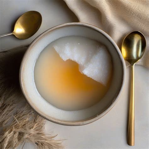 Melo Melo Coconut Jelly Recipe Creamy Tropical Dessert Delight 90