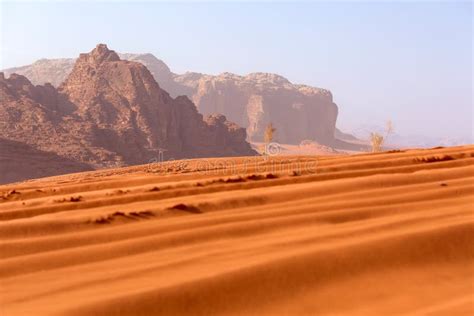 Sand Dunes In Wadi Rum Desert Jordan Middle East Stock Image Image