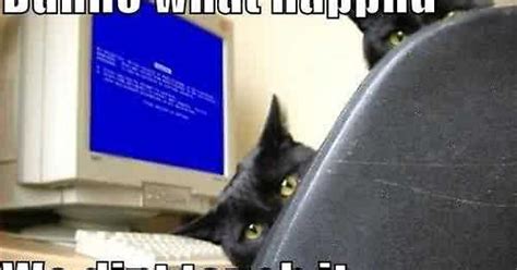 I Work In Computer Support This Is How Most Users Respond When I Show Up Imgur