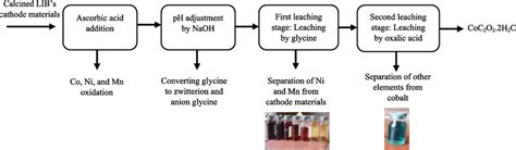 Procedure Diagram Of This Research Download Scientific Diagram