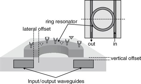 9 microring resonator is vertically coupled to input output