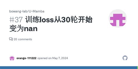 训练loss从30轮开始变为nan · Issue 37 · Bowang Labu Mamba · Github