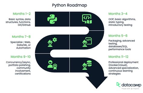 Python Roadmap A 12 Month Learning Path Datacamp