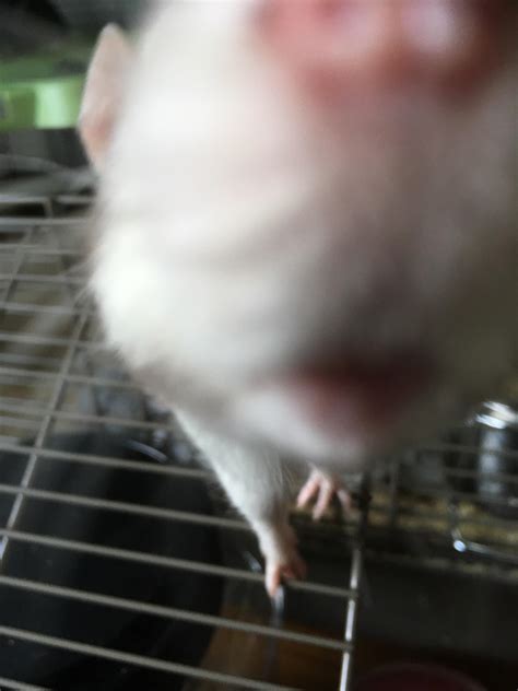 First Print Questions On Sharpness R Resinprinting