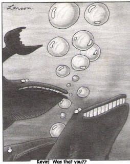 Pin By Luvpuli On Marine Mammal Humor Gary Larson Cartoons Far Side