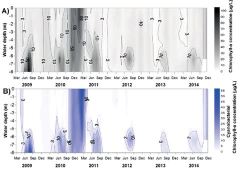 9 Contour Plots Of Chlorophyll A 1 A 1 Dddandandandandandandandanddd