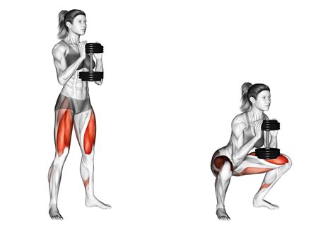 6 Best Dumbbell Squat Variations With Pictures Inspire Us