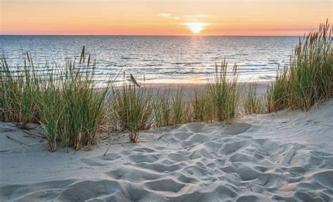 Debbie Chamblee Mcdade