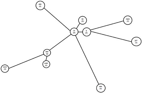 minimum spanning tree depicting the clustering of 10 sts identified